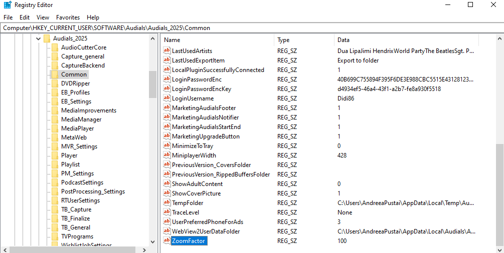 Troubleshooting: How to correct the zoom factor – Audials Support